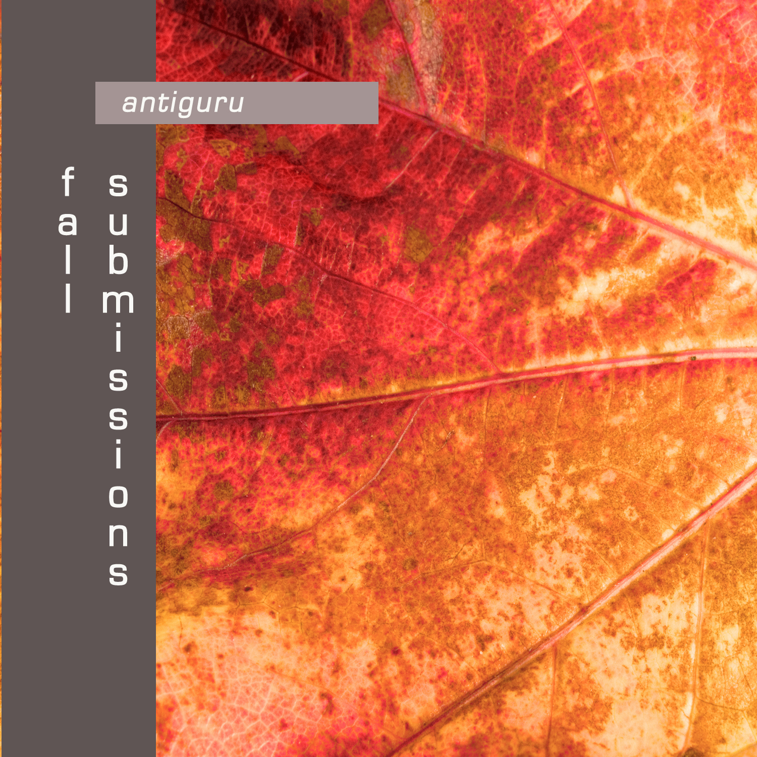 Fall Submissions AntiGuru fall-submissions-antiguru